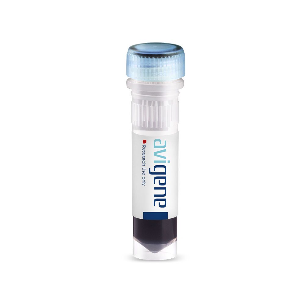 AviTri™ -DNA Loading Dye - 3 Colors - High Sensitive - 1ml
